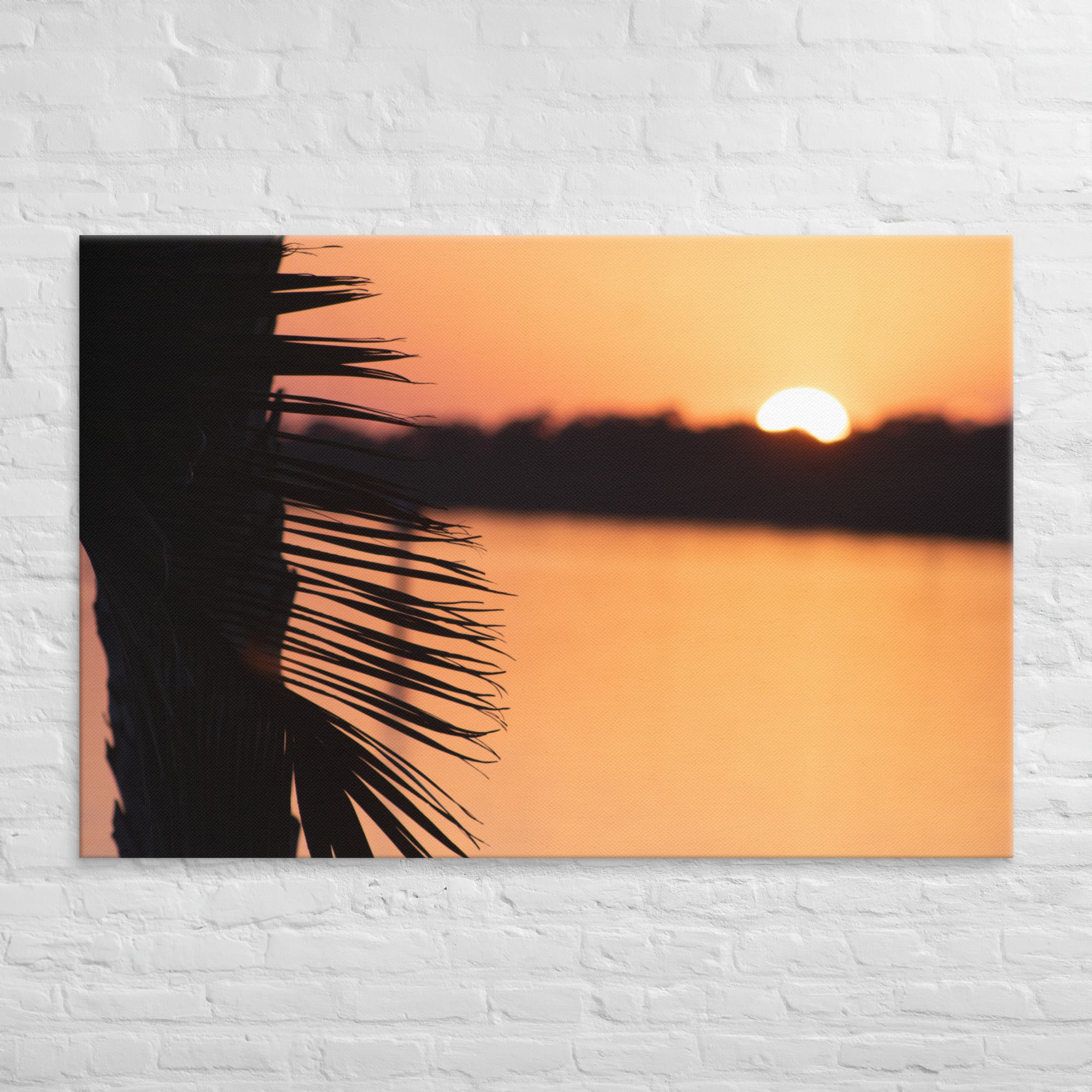 Sunset Palm – G-Style